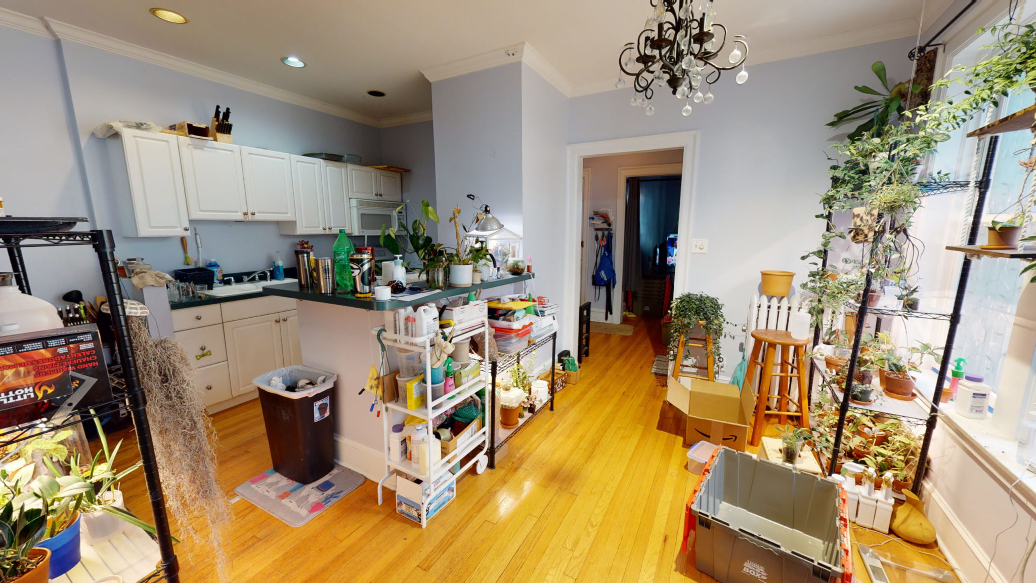 Heidi Partners with Curbio to Make Real Estate Boom - Curbio